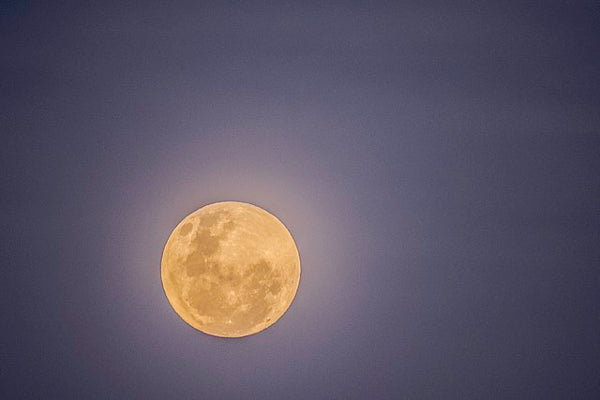 Beaver Moon 2022 – Salem's Moon